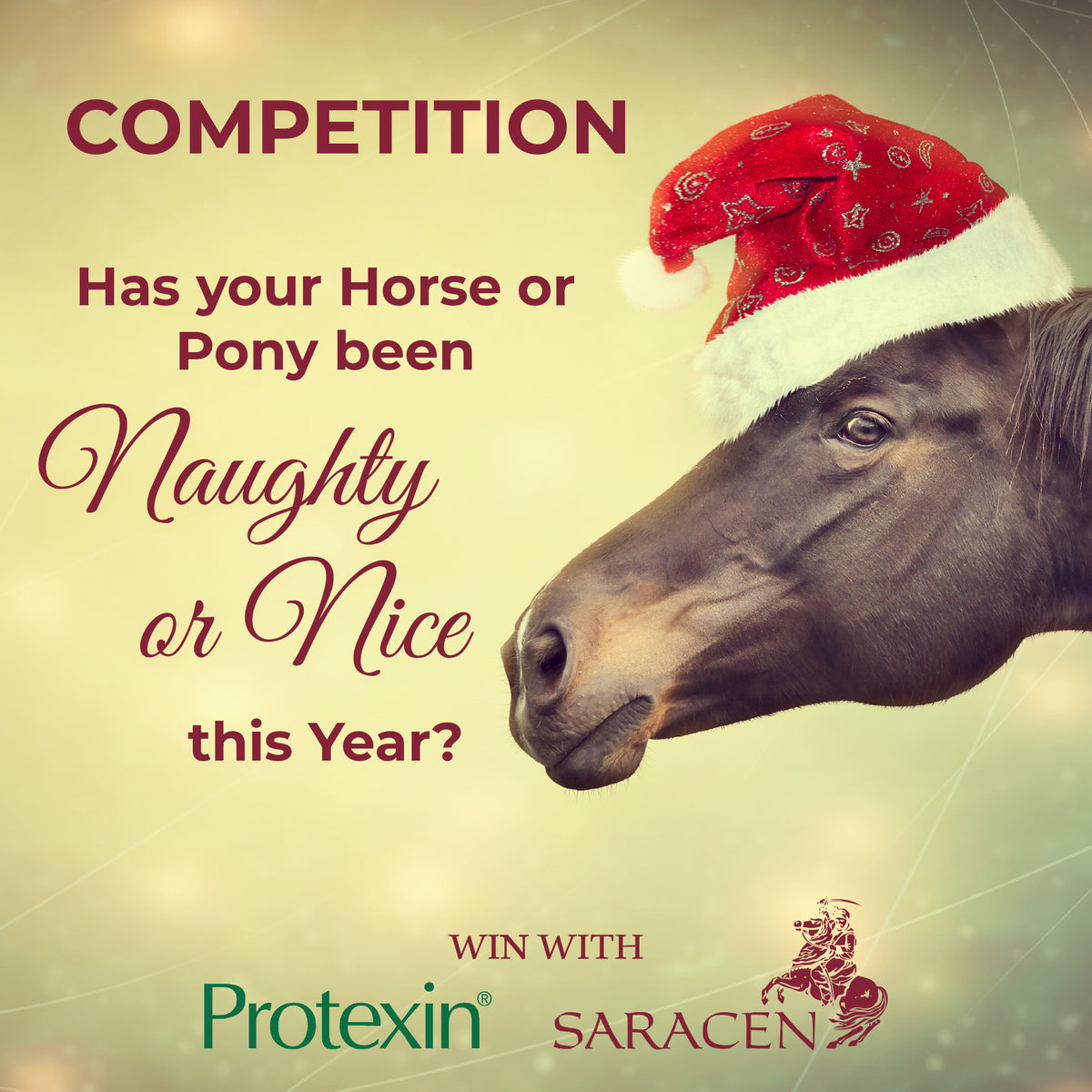 COMPETITION ALERT – The Veterinary Group