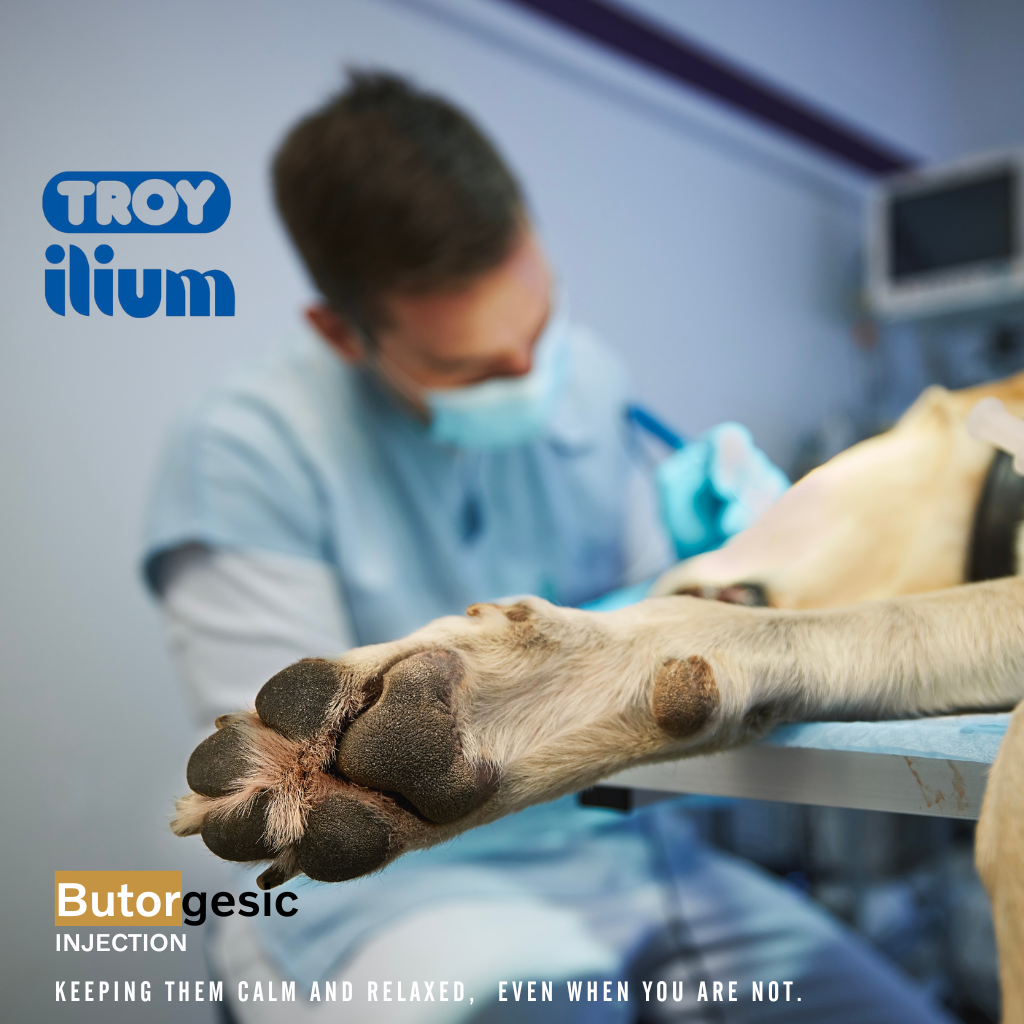 ilium Butorgesic - Keeping them Calm and Relaxed, even when you are no ...