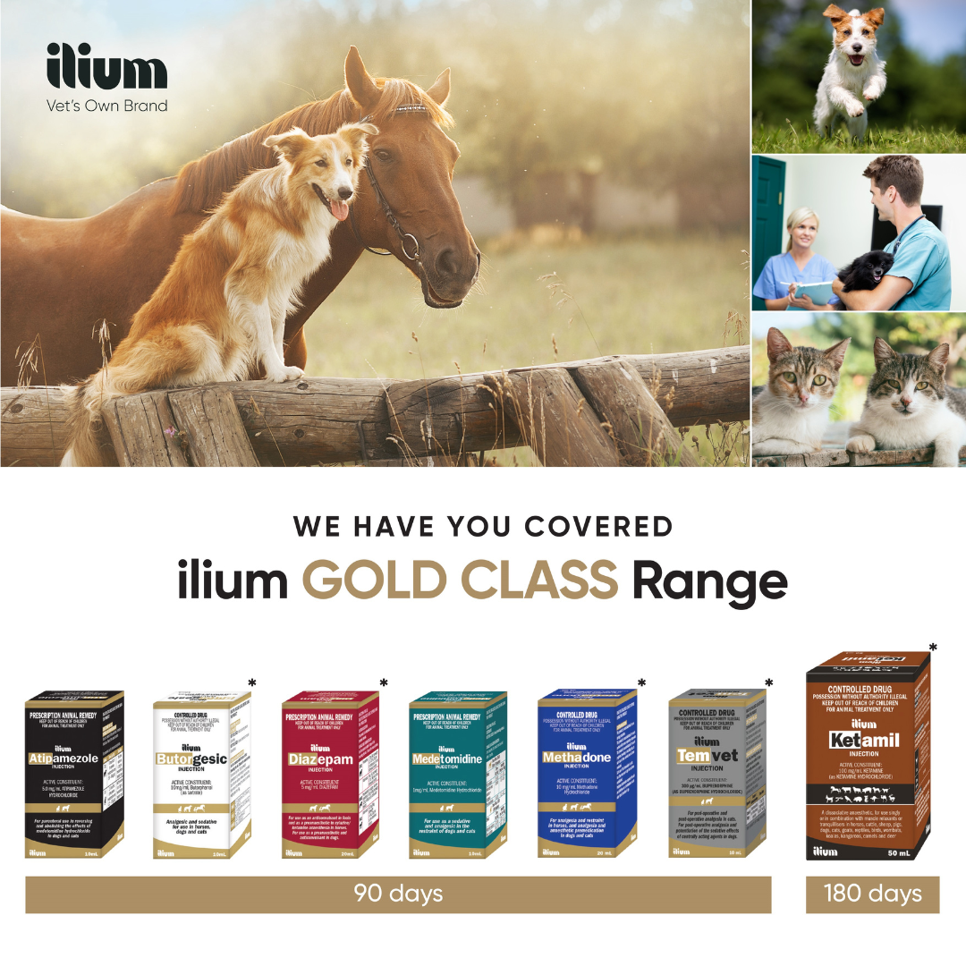 Ilium Gold Class Range – Leading the Way in Pain Relief – The ...